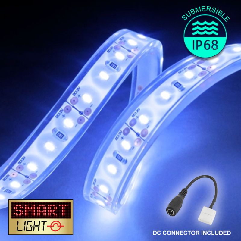 12V/5m SMD 2835 IP68 Submersible Strip 300 LED - BLUE